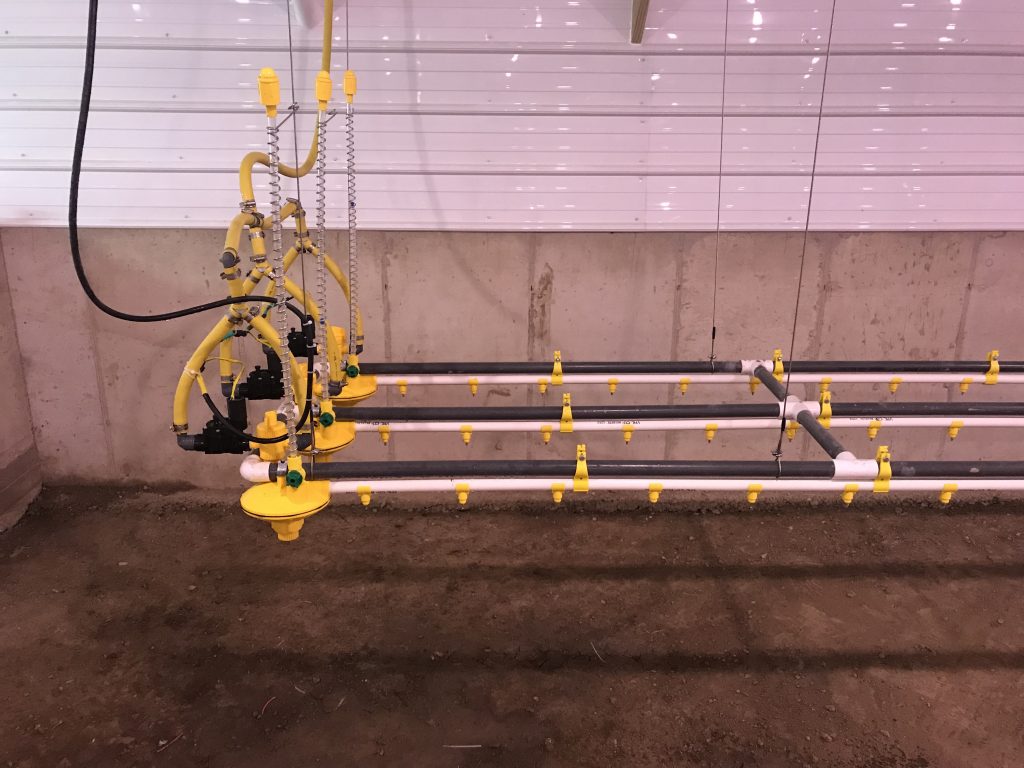 Duck Barns - Buschur Equipment